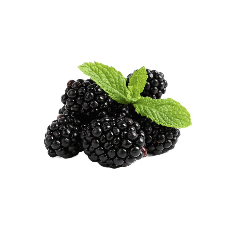 Raspberries – GroHydroSupply